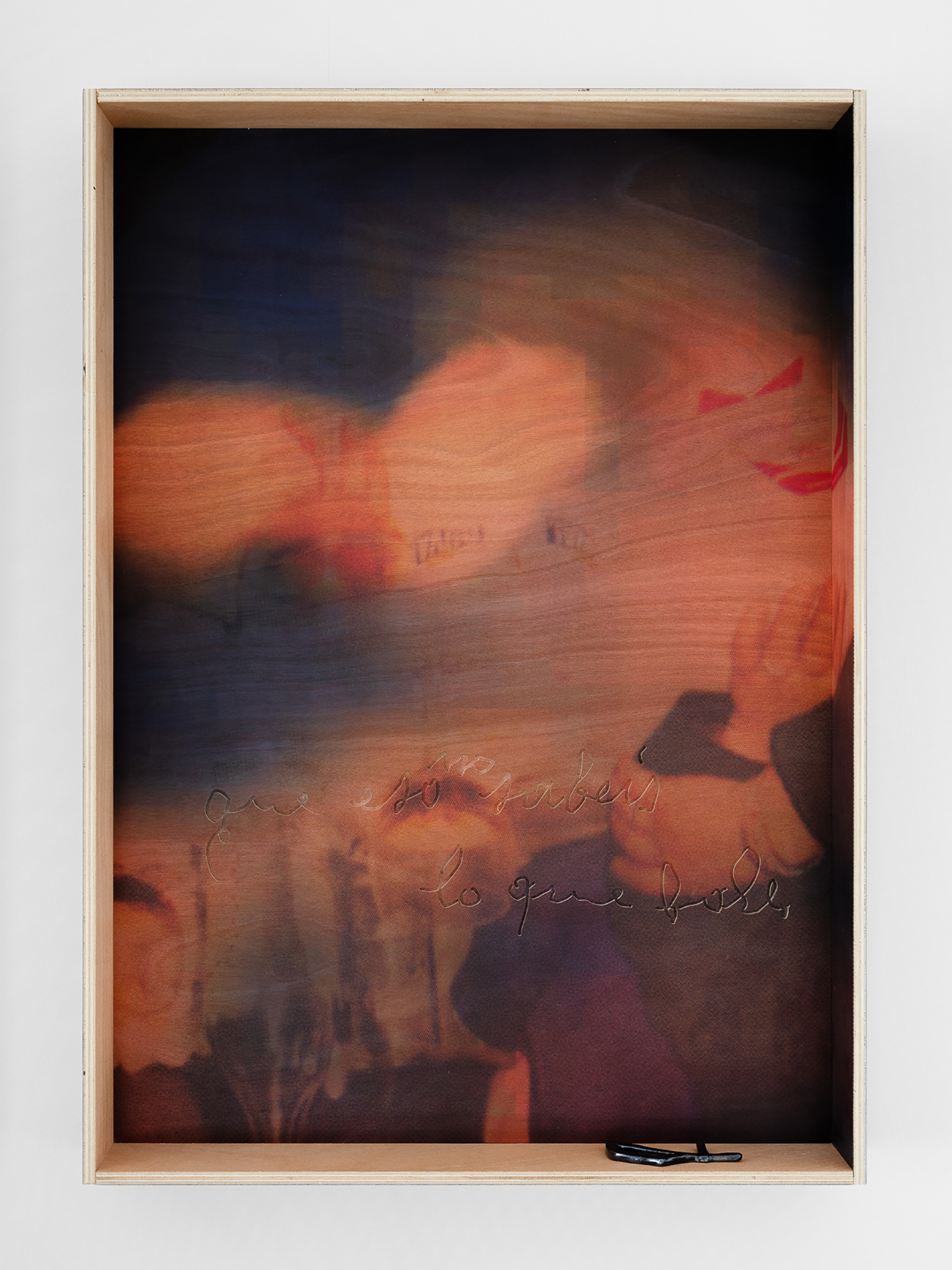 GALERIE CHLOE SALGADO — Camille Benarab-Lopez – WORKS