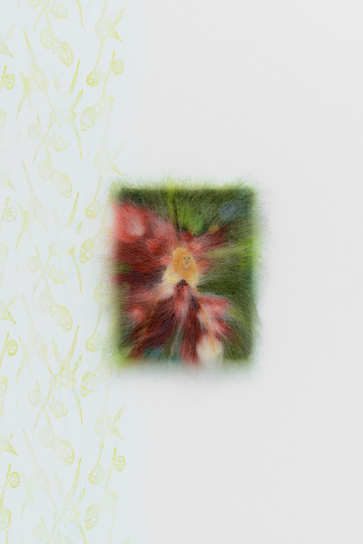 GALERIE CHLOE SALGADO — Maria Szakats – Mon seul désir