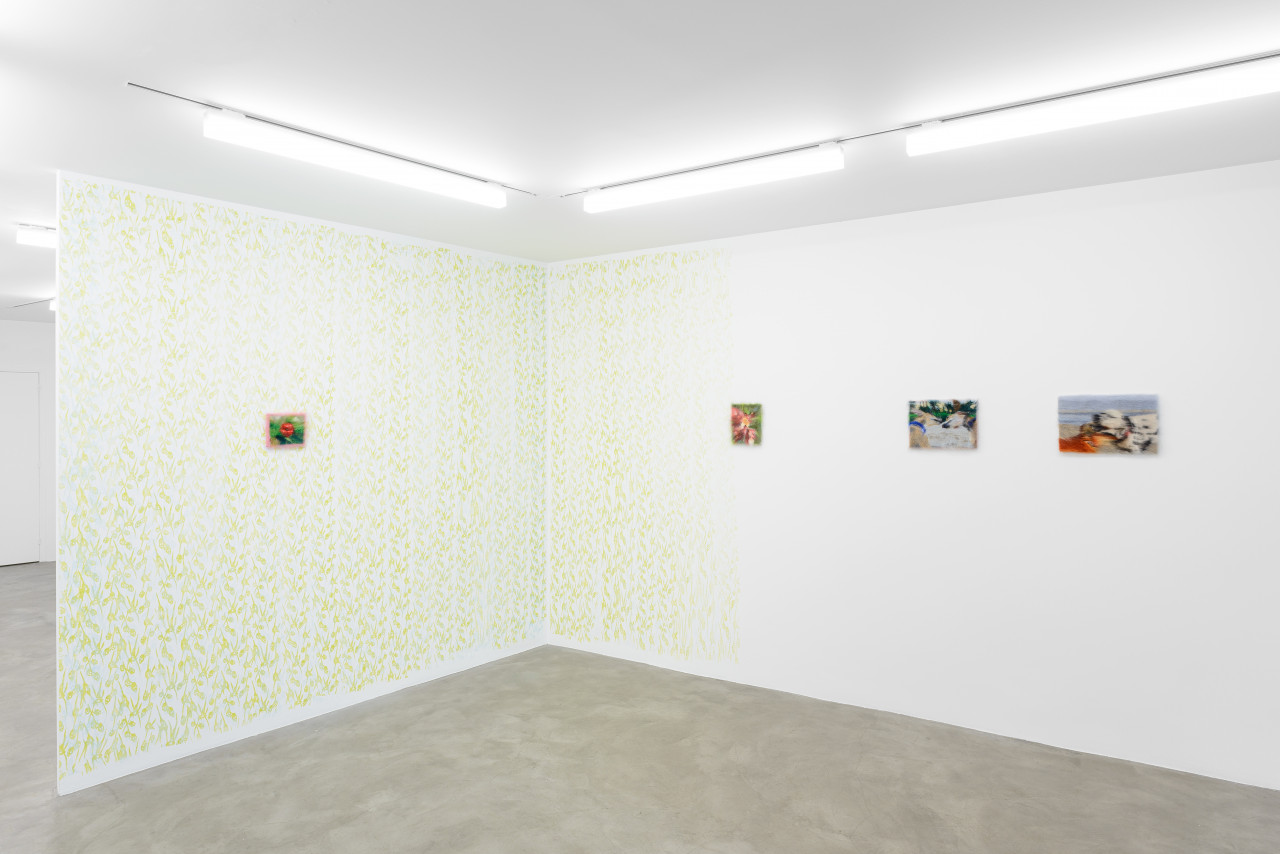 GALERIE CHLOE SALGADO — Maria Szakats – Mon seul désir – FR